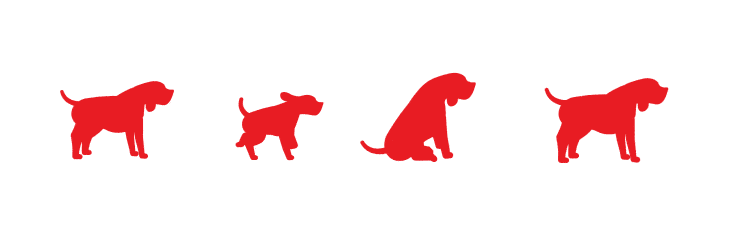 Dog Breed Questions - Dog Breed Selector Tool | Purina