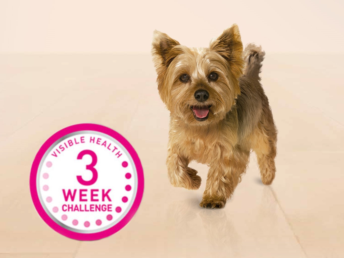 Take The Purina One 3 Week Challenge | Purina