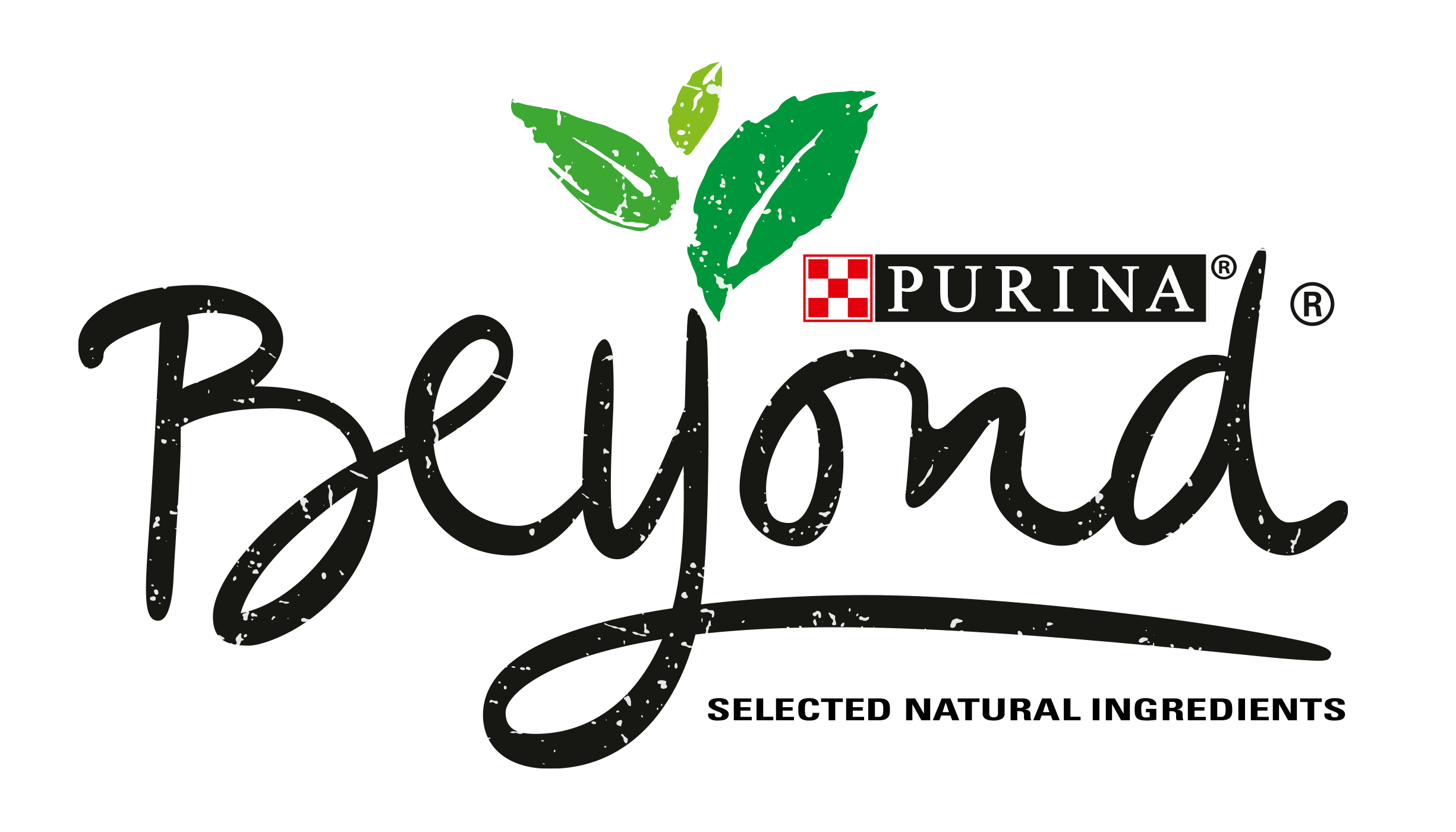 Purina Beyond® - High Quality Cat & Dog Food | Purina EU