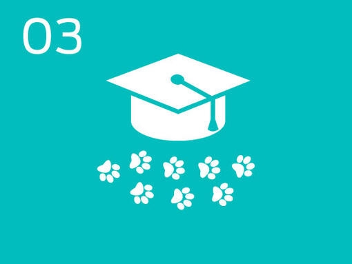 Our Purina Commitments | Purina