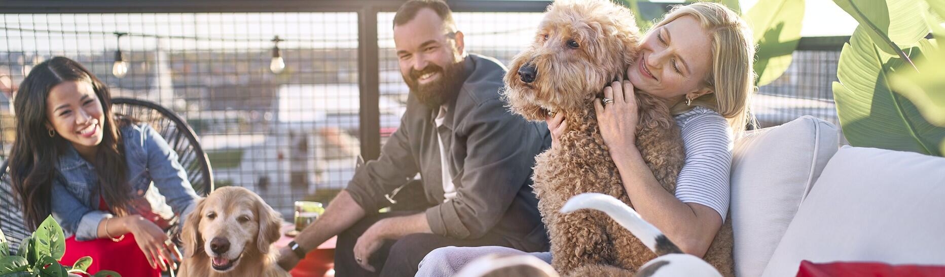 Discover the Unique History of Purina Pet Care | Purina